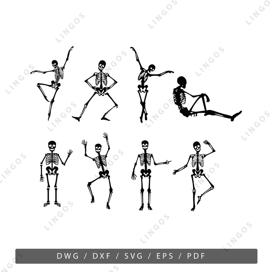 Skeleton SVG Bundle, Human Vector, Bone Eps, Skeletal System DXF, Joint ...
