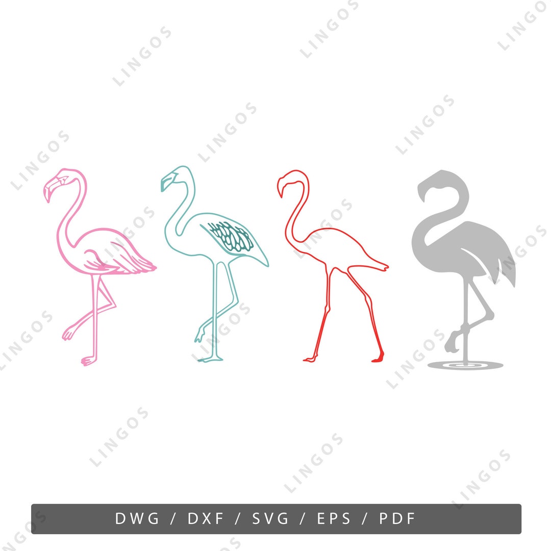 Flamingo Svg File,bird Clip Art,water Bird Vector,animal Digital Files ...