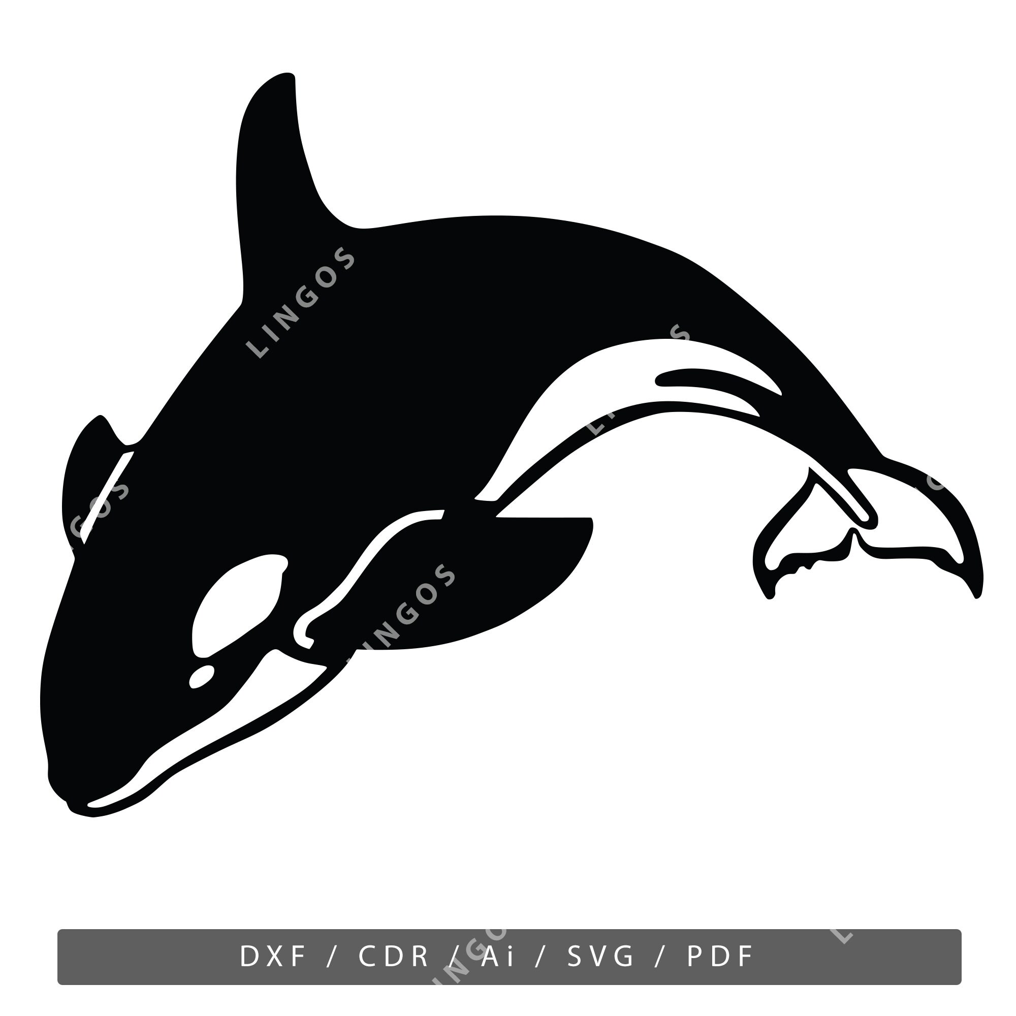 Orca Design Laser Cut Svg Dxf Files Wall Sticker Engraving - Etsy Australia