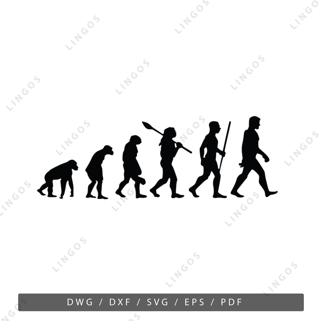 Human Evolution SVG Darwin Theory Vectorpdf - Etsy