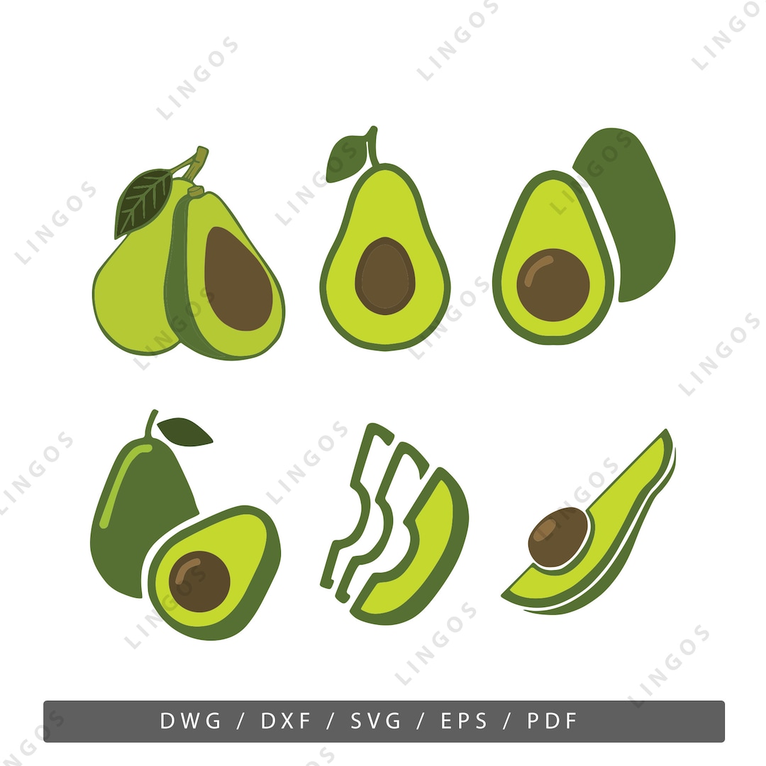 Avocado SVG Bundle, Alligator Pear Vector ,avocado Print Eps, PDF, DWG ...