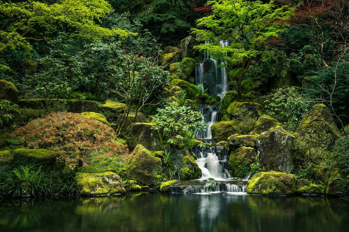 Zoom Backgrounds Waterfalls Bundle X5 Instant Download, Health ...