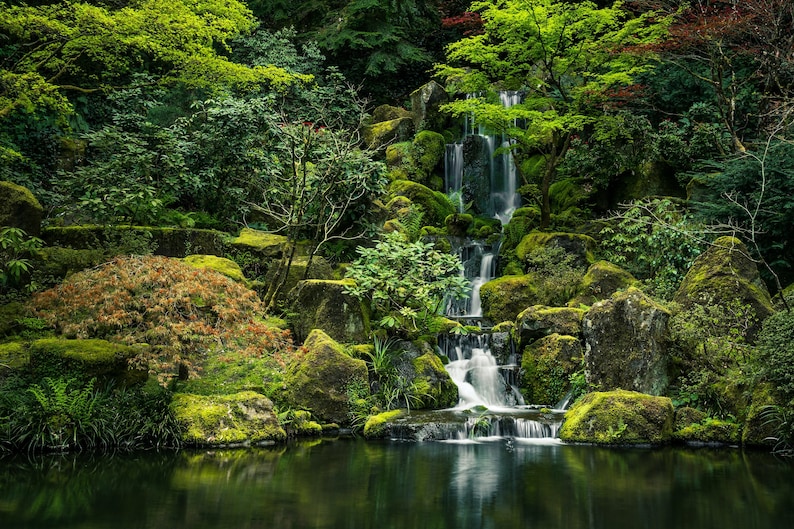 Zoom Backgrounds Waterfalls Bundle X5 Instant Download, Health ...