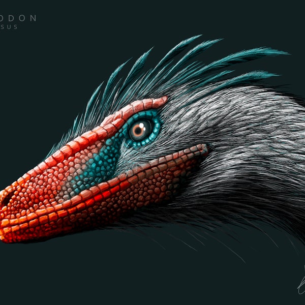 Guanlong - Etsy Canada