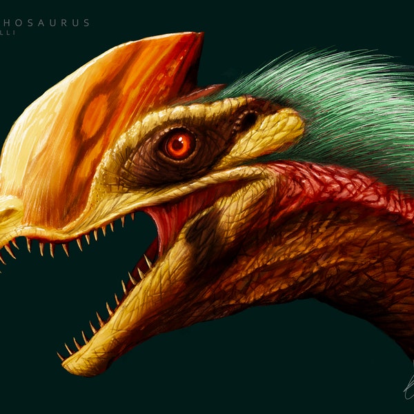 Dilophosaurus Poster - Etsy