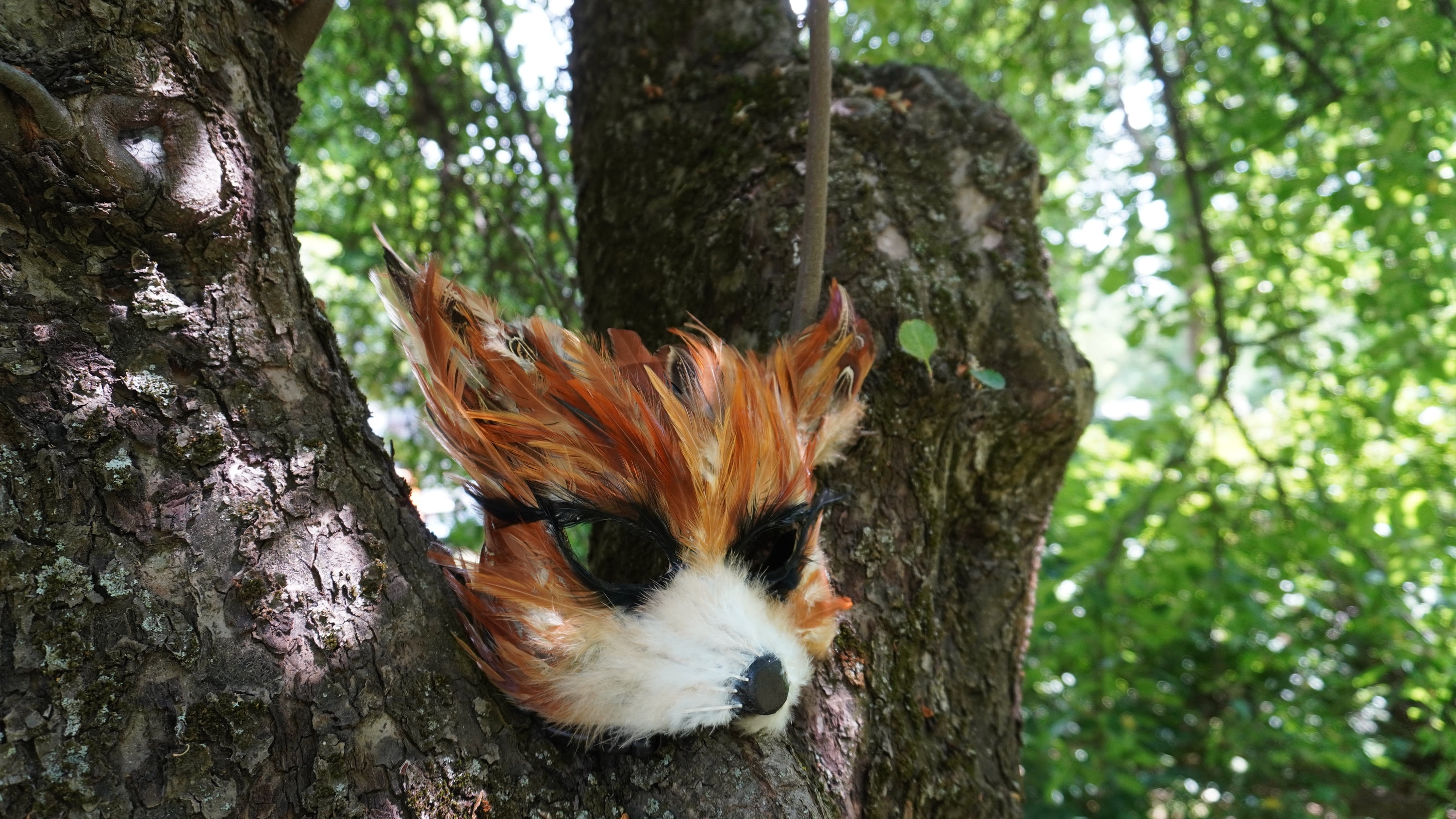 Fox Mask, Carnival Fox Mask, Halloween Mask, Masquerade Fox Mask ...