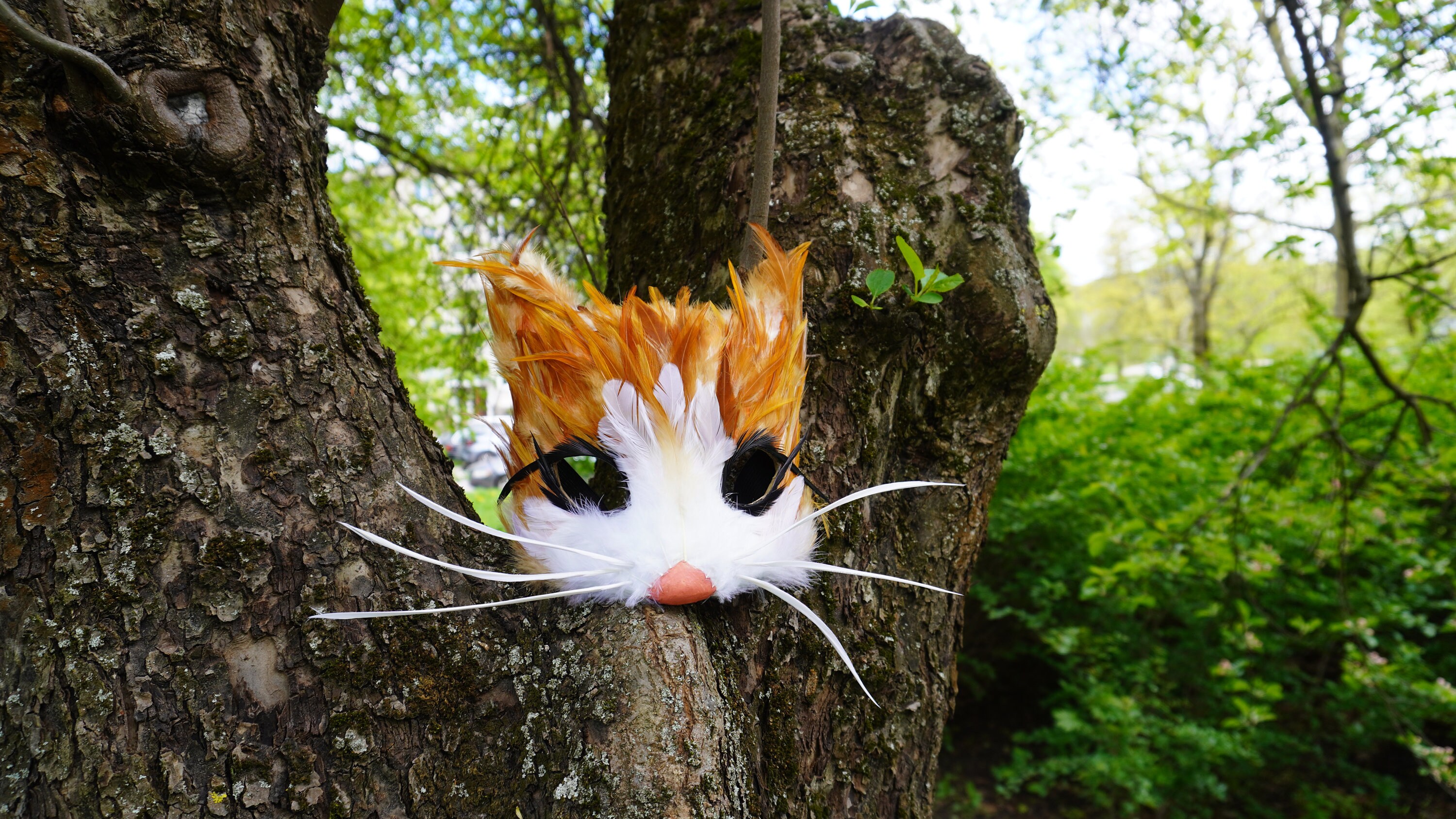 Ginger Cat Mask With Whiskers, Carnival Mask, Red Cat Mask, Masquerade ...