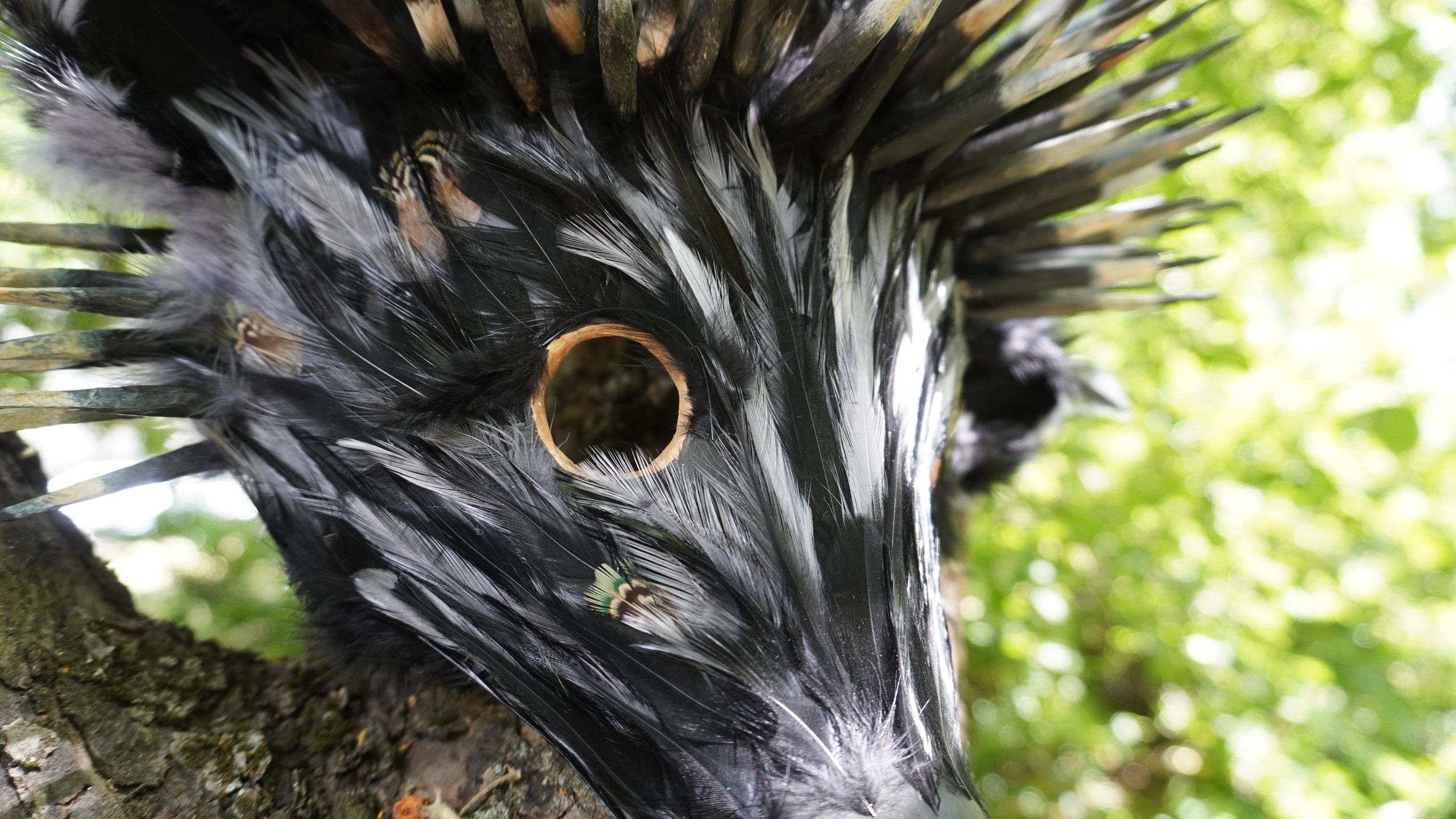 Hedgehog Mask, Carnival Hedgehog Mask, Hedgehog, Masquerade Mask ...