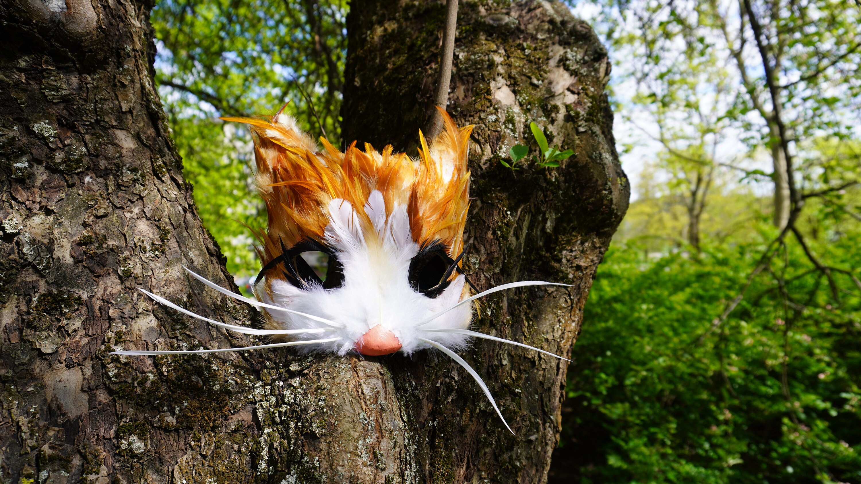 Ginger Cat Mask With Whiskers, Carnival Mask, Red Cat Mask, Masquerade ...