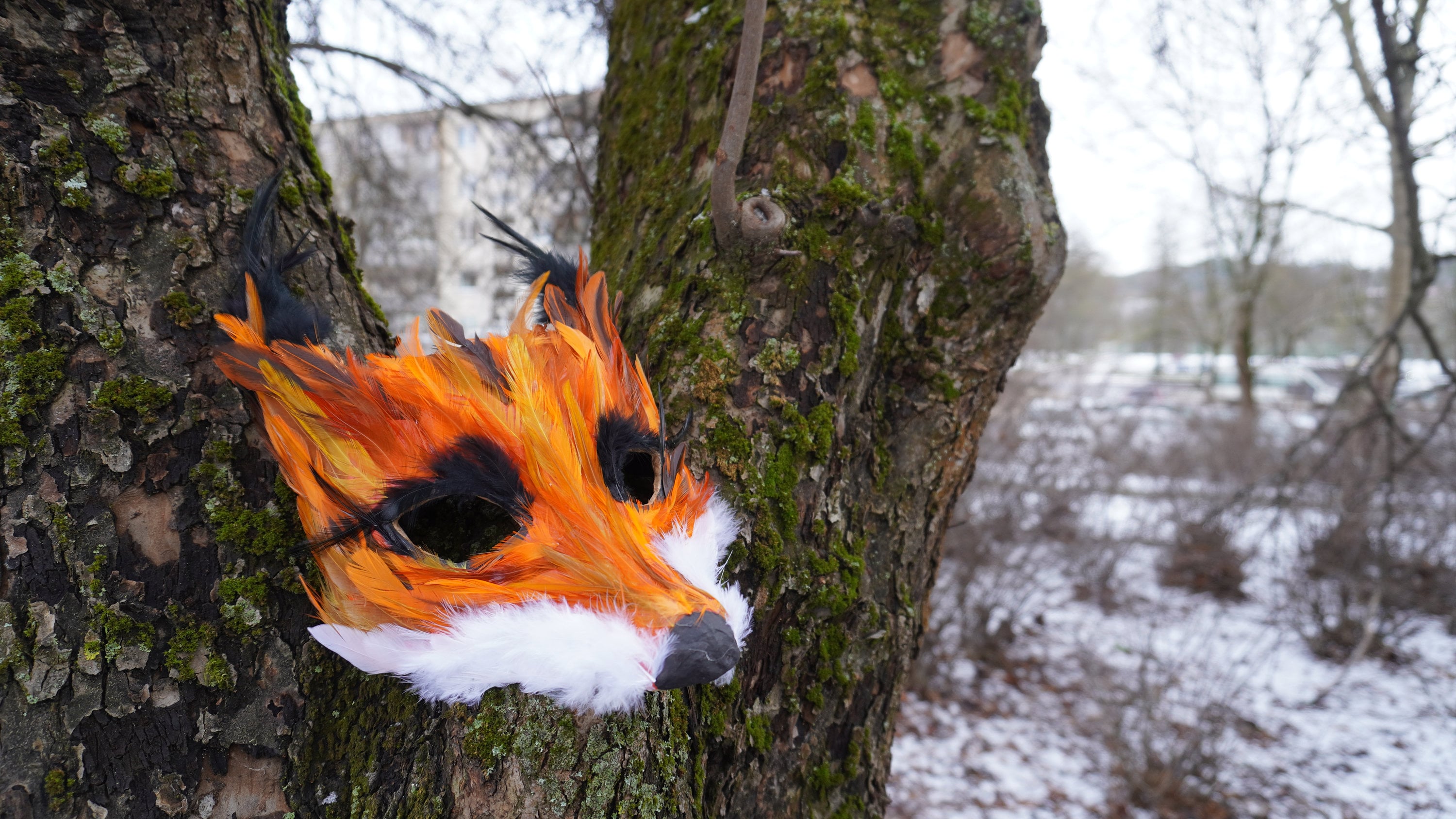 Fox Mask, Carnival Mask, Masquerade Mask, Festive Mask, Papier Mache ...