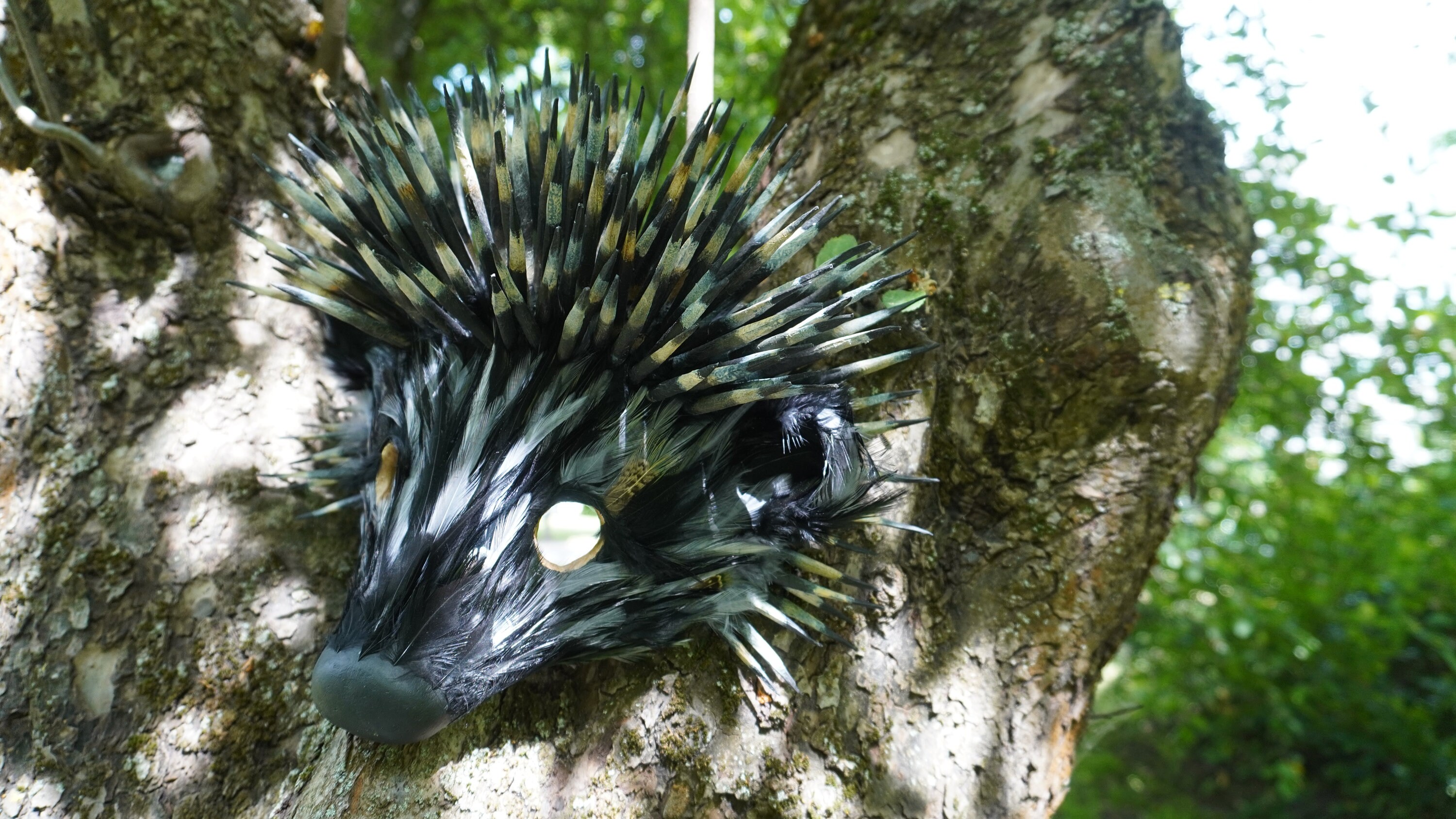 Hedgehog Mask, Carnival Hedgehog Mask, Hedgehog, Masquerade Mask ...