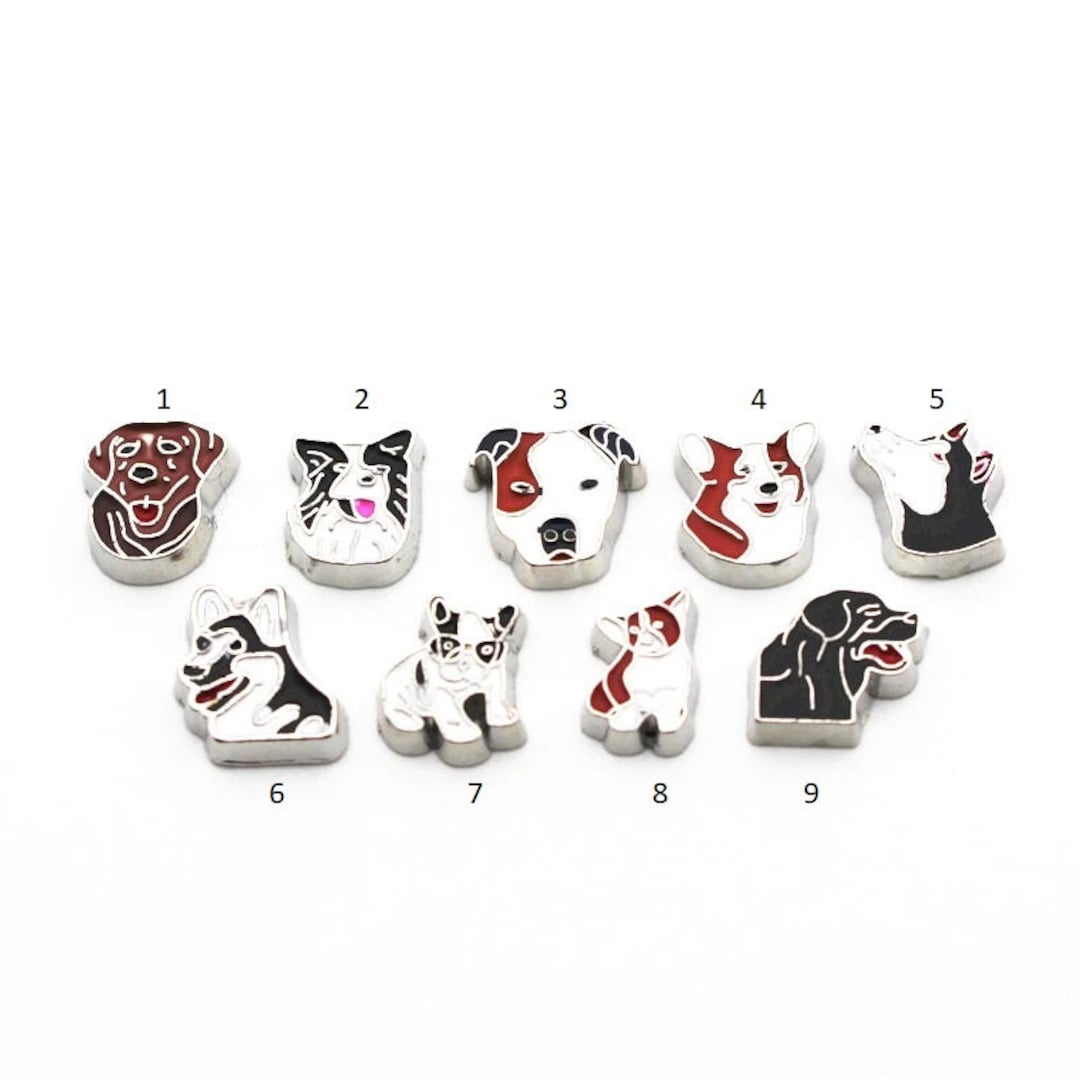 1 Pc. Dog Floating Charms for Living Lockets, Memory Lockets, DIY ...