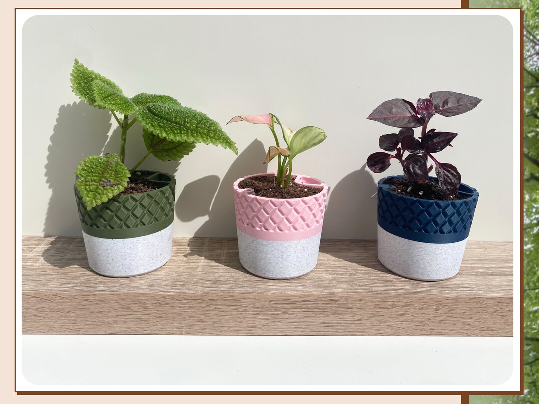 3D Printed Planter Modern Two Tone Plant Pot With Reservoir Self ...