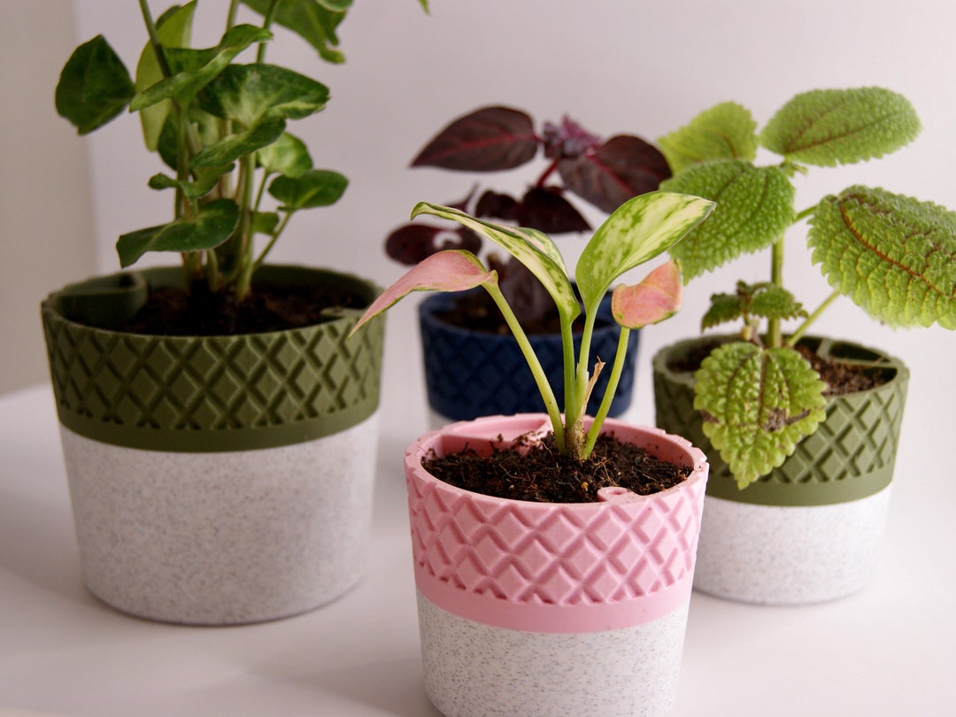 3D Printed Planter | Modern Two Tone Plant Pot With Reservoir | Self ...