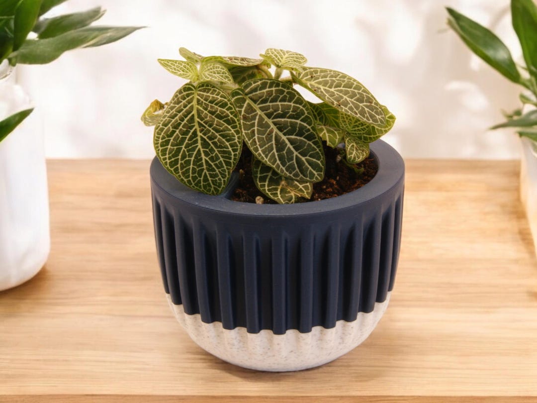 Custom Plant Pot for House Plants 3D Printed Planter With Reservoir ...