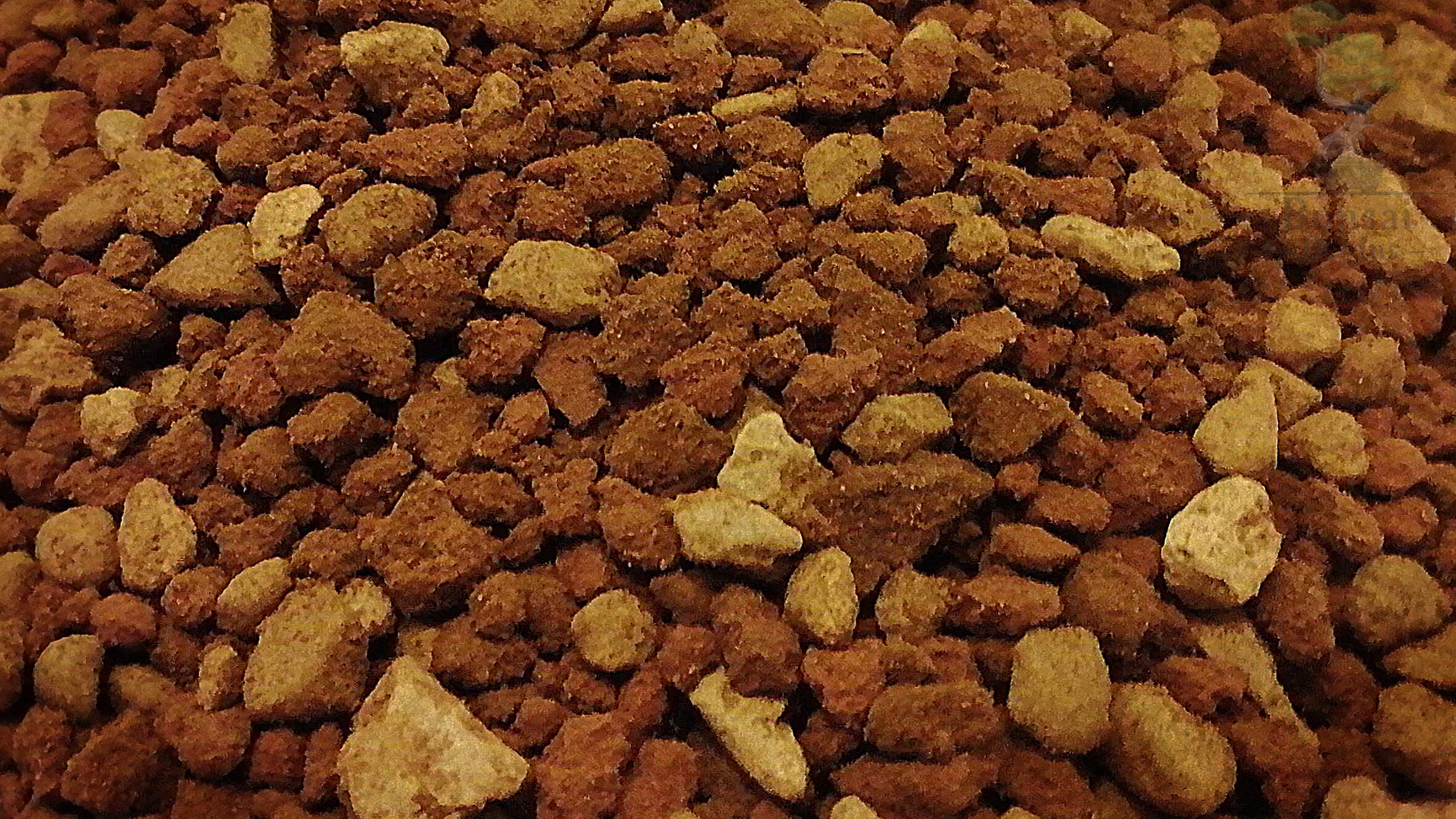 Bonsai Soil Akadama, Pumice, Lava Rock 1 Litre Premium Bag for ...