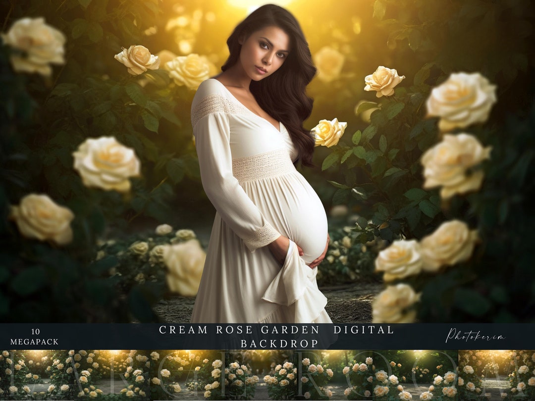 Cream Rose Garden Digital Backdrop Portait Summer Flower Photography ...