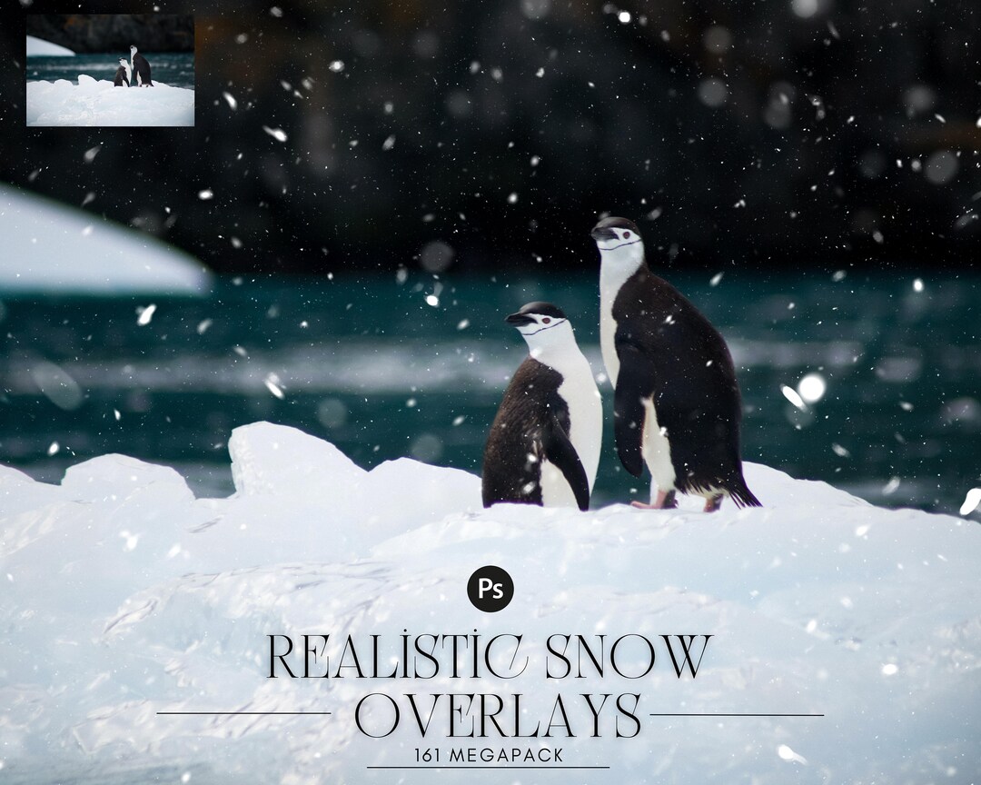 161 Realistic Snow Overlays, Realistic Falling Snow, Photoshop Overlays ...