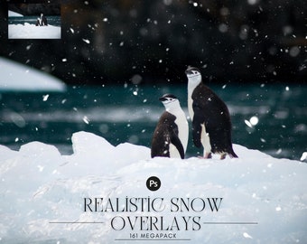 Realistic Snow Overlays, Realistic Falling Snow, Photoshop Overlays ...