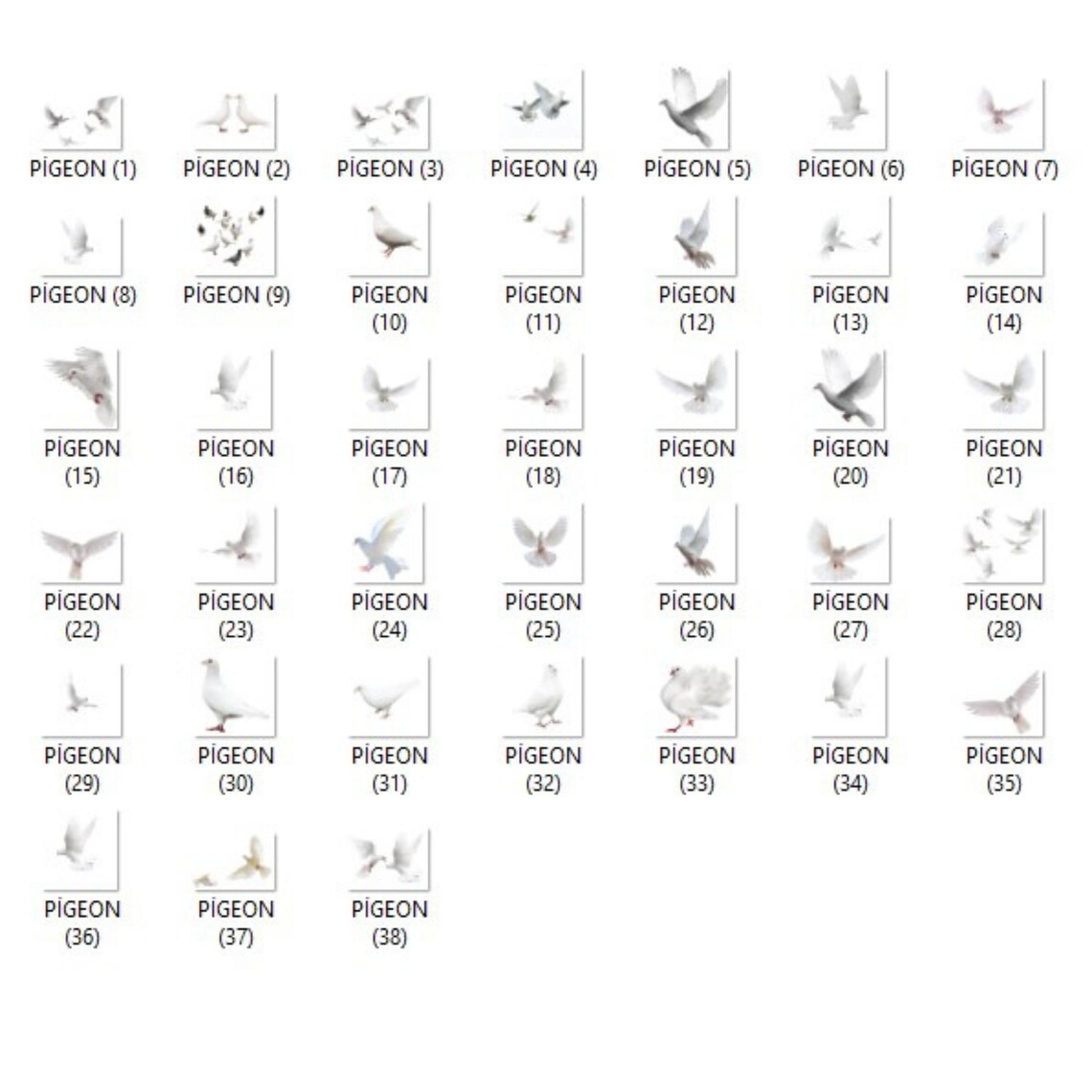 38 Dove Overlays Dove Photo Overlays Dove Clipart Wedding - Etsy