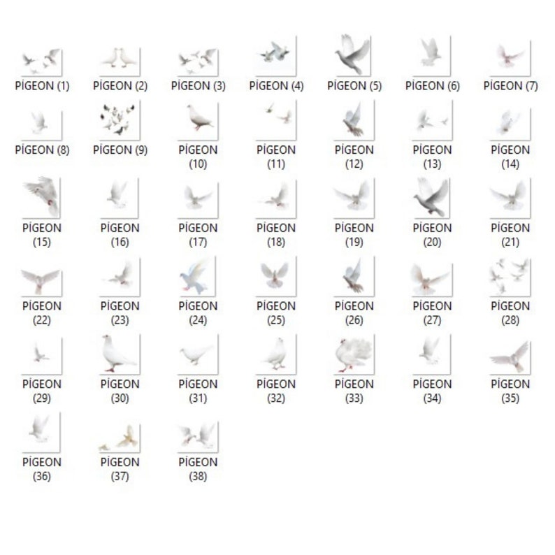 Wedding Dove Flight: Photo Overlays for Romantic Glow, Wedding Portrait ...