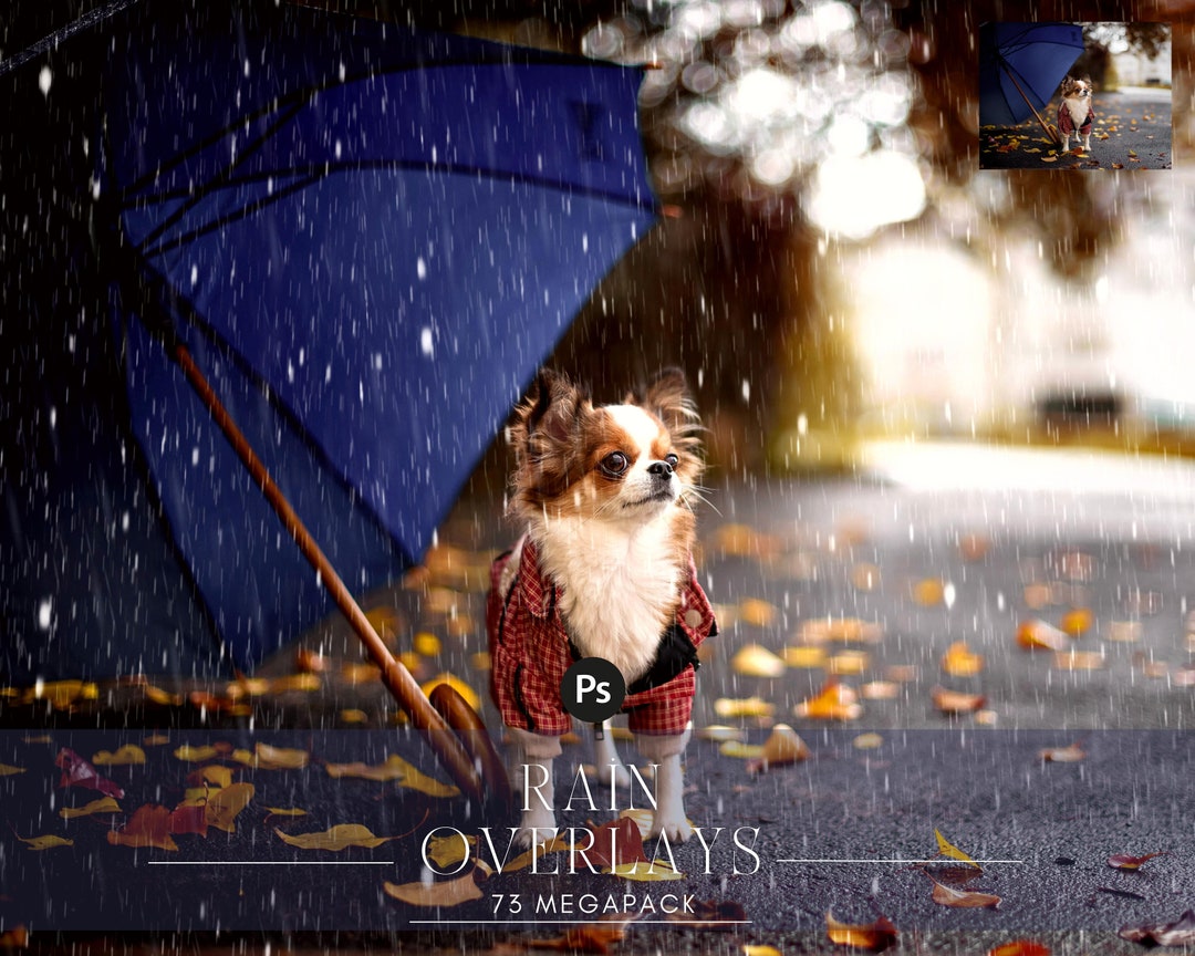 Rain Overlays, Realistic Rain, Pngs, Rainfall, Photoshop Overlays ...