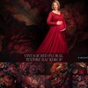 Opera De Toulon Backdrop, Digital Backdrops, Maternity Backdrop ...