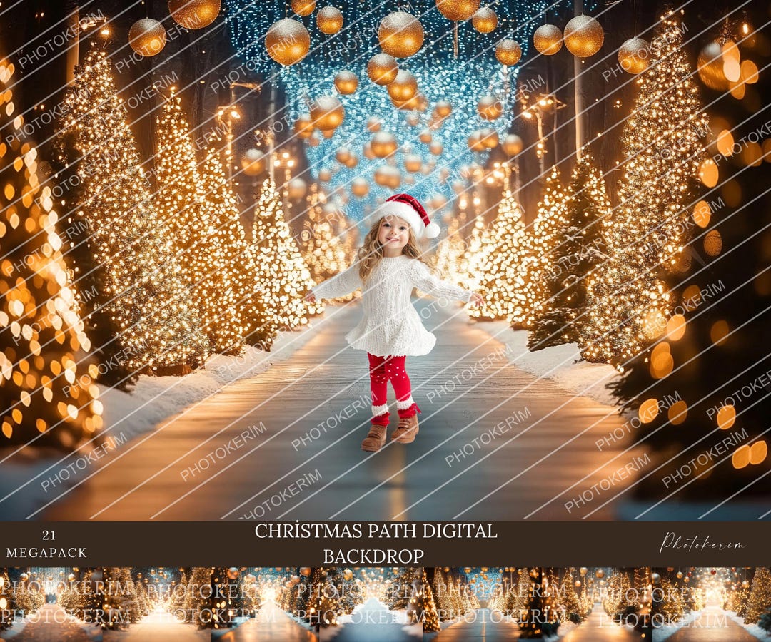 Christmas Night Road Digital Backdrops, Noel Backdrop, Neutral ...
