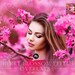 43 Cherry Blossom Effect Overlays Flowers Effect Overlays-capcut ...