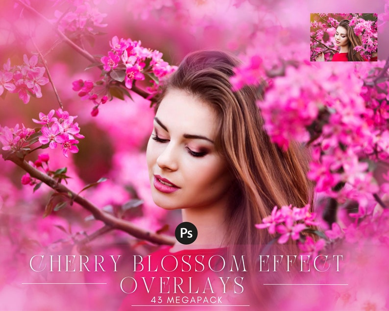 43 Cherry Blossom Effect Overlays Flowers Effect - Etsy