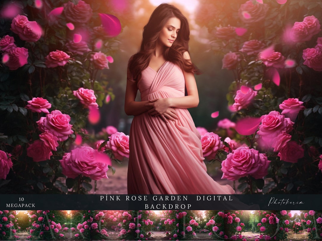 Pink Rose Garden Digital Backdrop Portait Summer Flower Photography ...