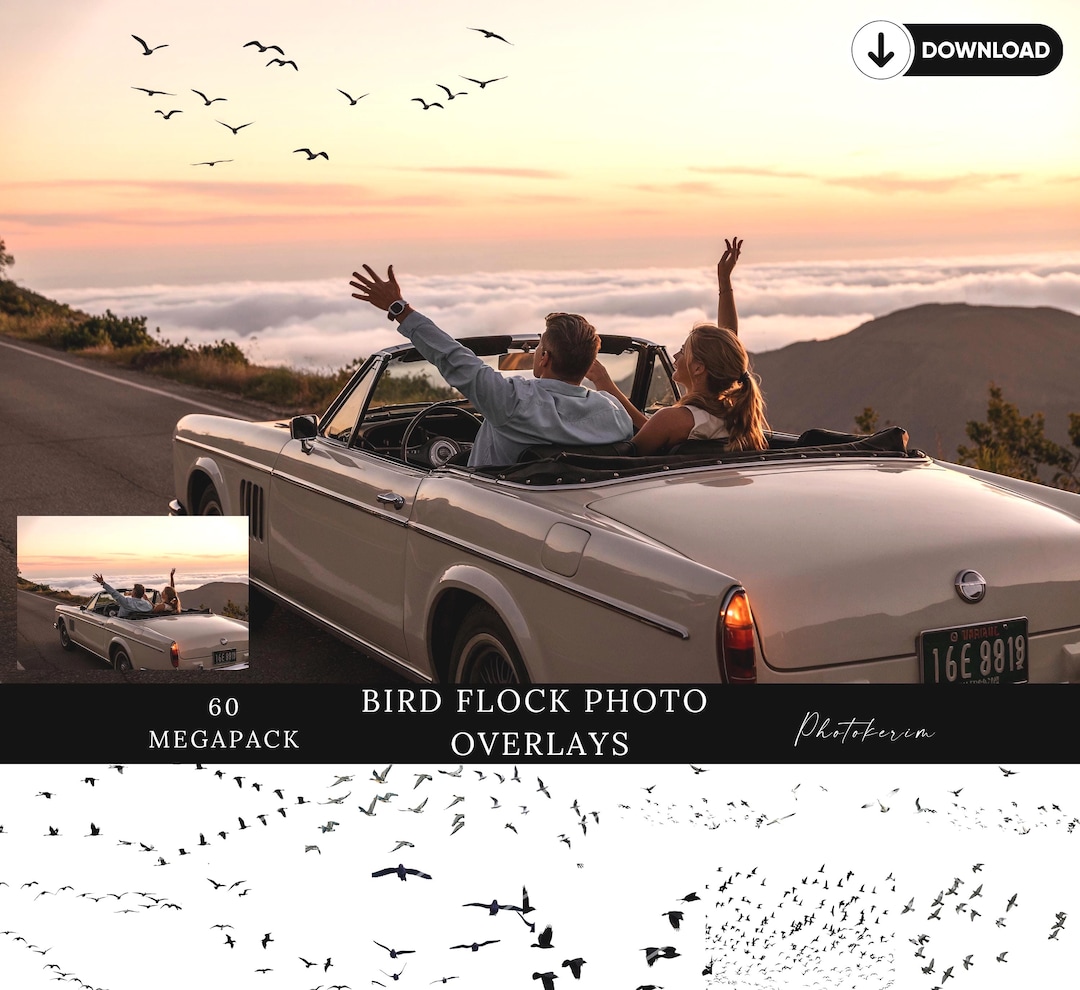 Flying Bird Flock: Photo Overlays for Sky Replacement, Portrait ...