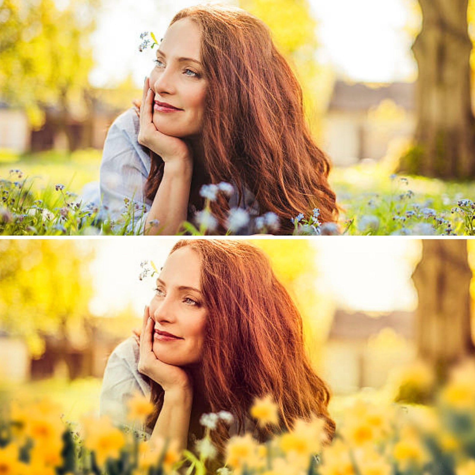 Flower Glade Photoshop Overlays Flowering Field Photo - Etsy