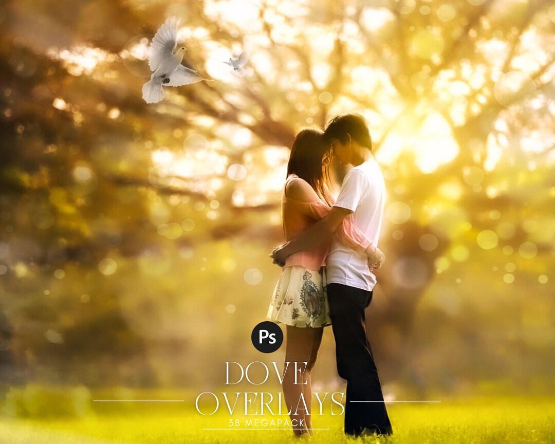 38 Dove Overlays, Dove Photo Overlays, Dove Clipart, Wedding Dove ...