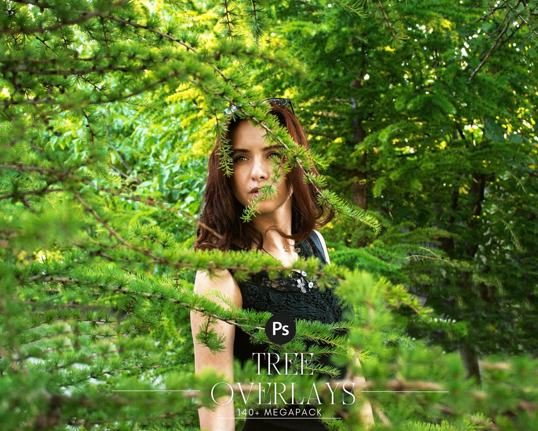 Tree Photoshop Overlays, Photo Overlays Package, Leaves Plant Branches ...