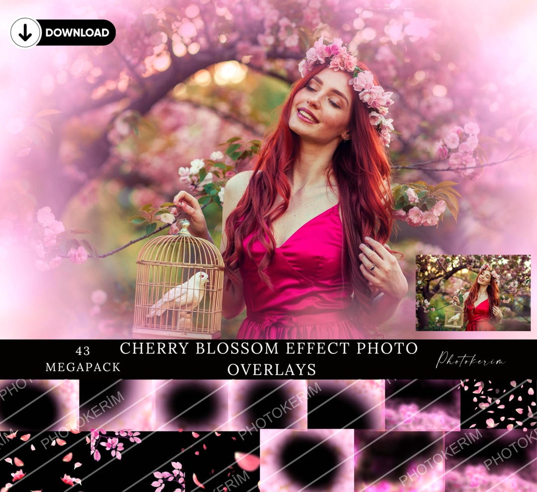 Cherry Blossom Photo Overlays: Blurry Light Effects (43 PNG Files) - Etsy