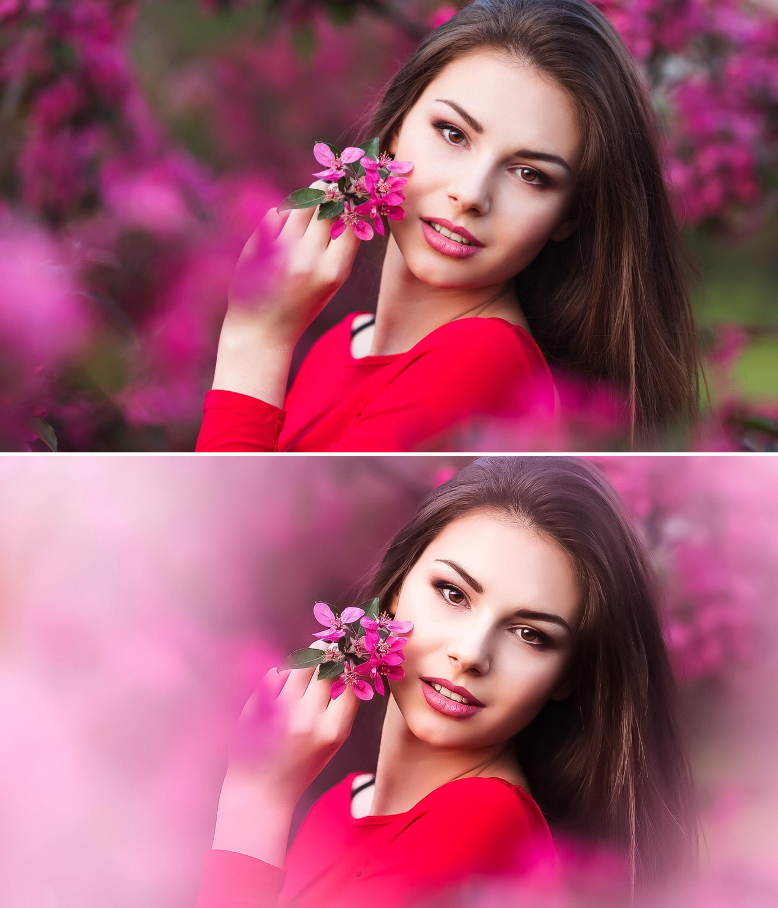 43 Cherry Blossom Effect Overlays Flowers Effect - Etsy