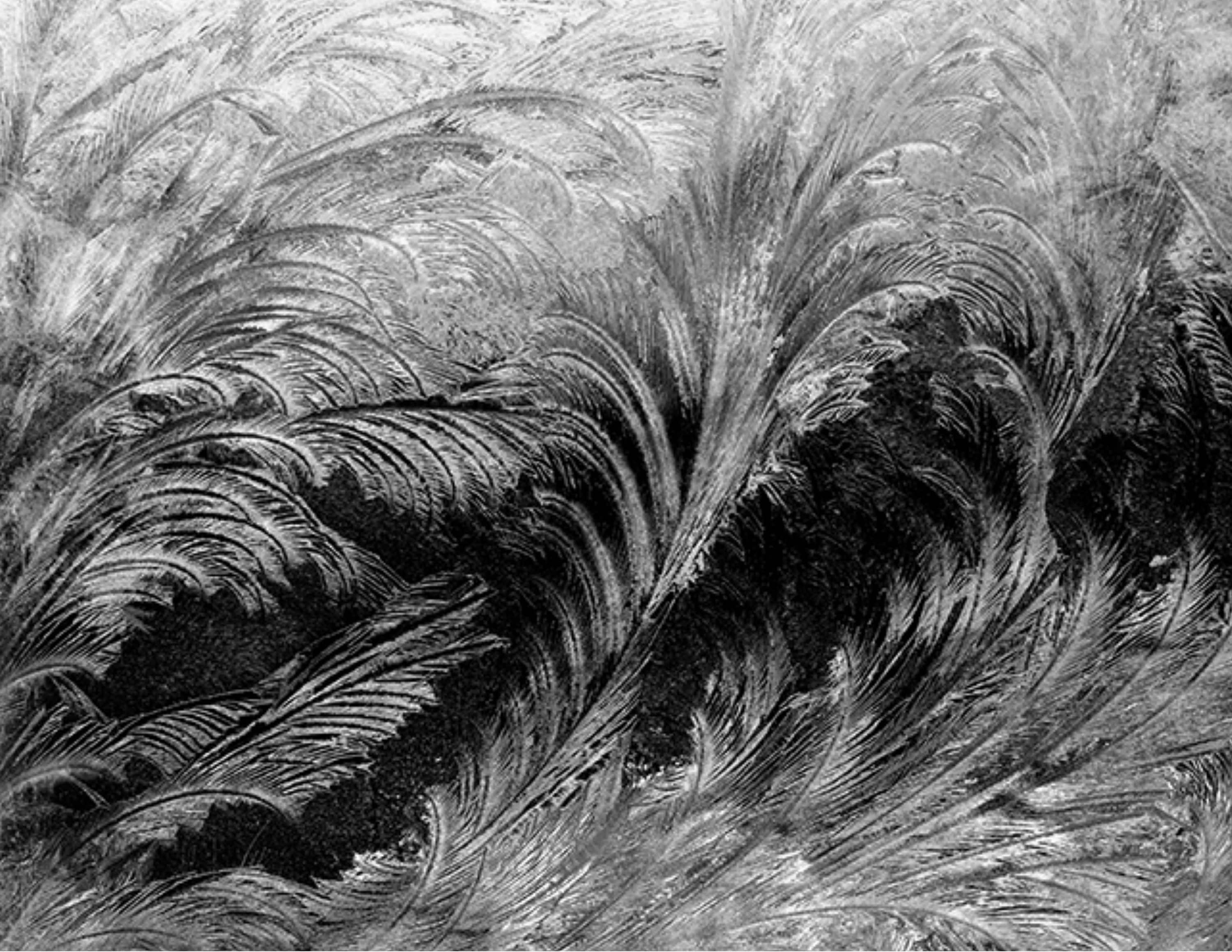 Frost Photoshop Overlays Photo Overlays Package Ice Winter - Etsy