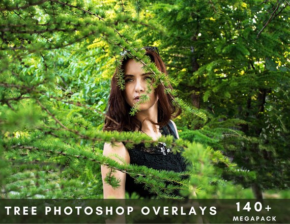 Tree Photoshop Overlays Photo Overlays Package Leaves Plant - Etsy