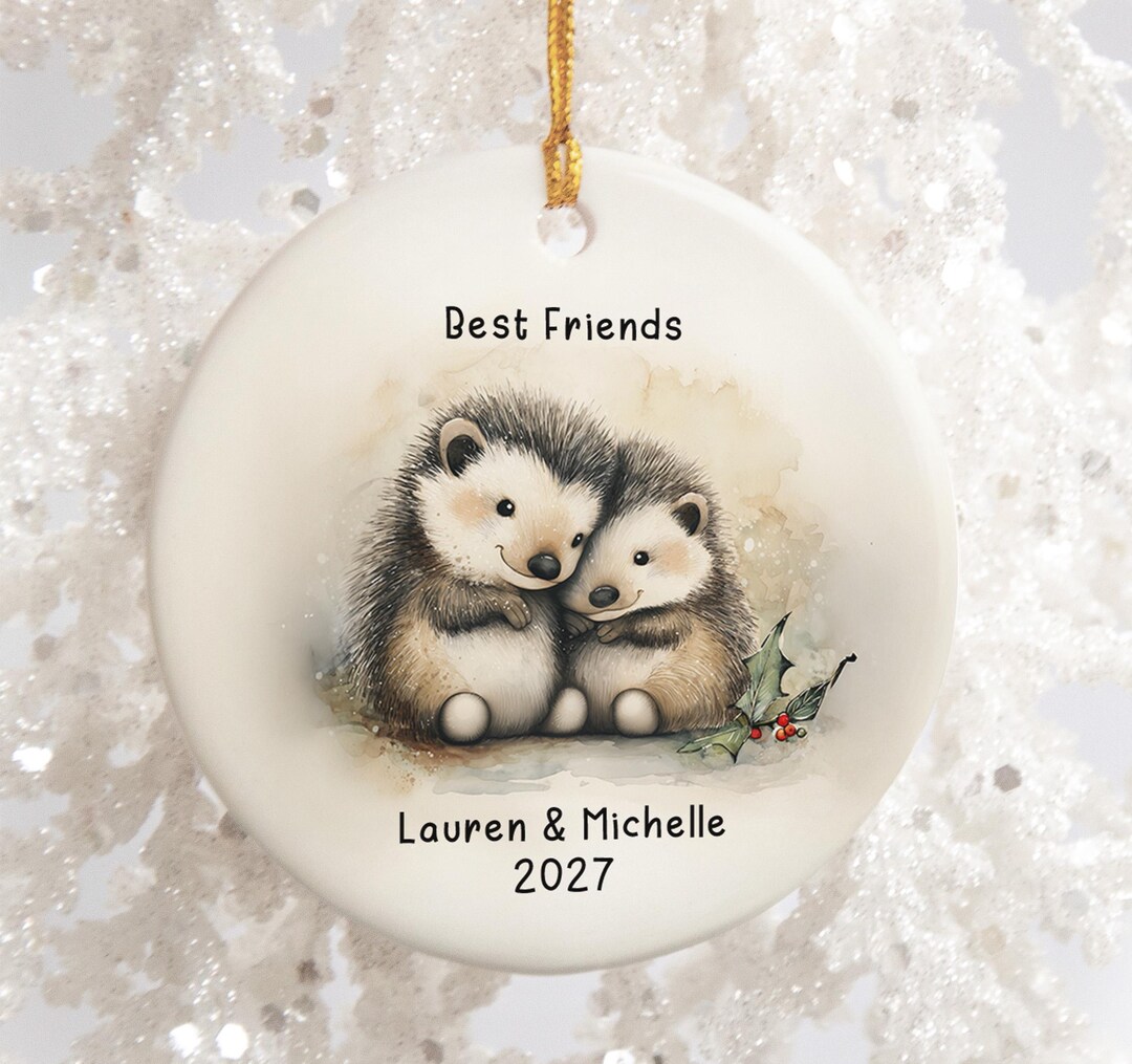 Best Friend Ornament, Hedgehogs Hugging, Best Buds Christmas Ornament ...