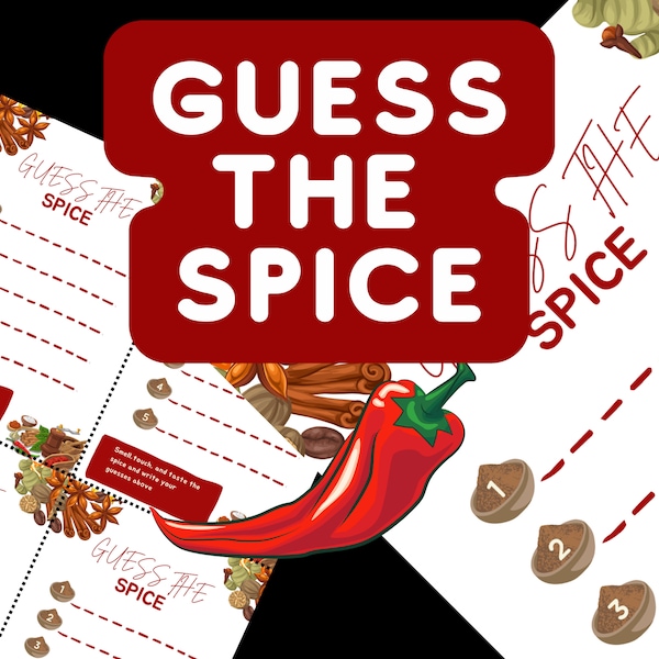 Guess the Spice Game - Etsy