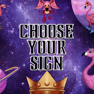 Star Sign Bingo Game - Printable Zodiac Cards - Etsy