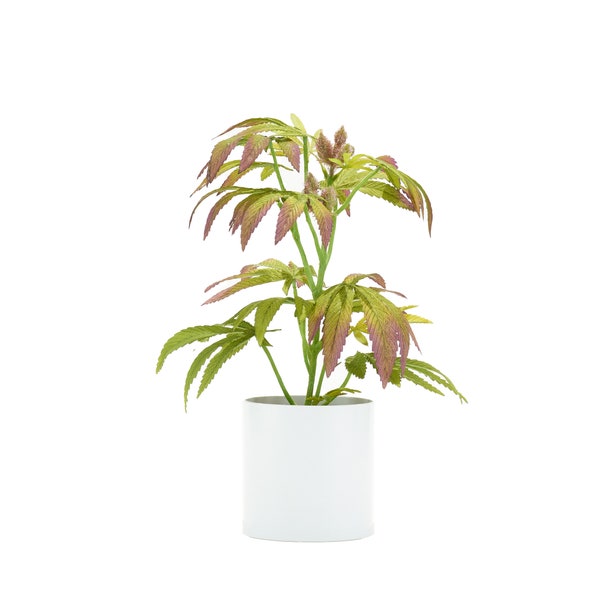 Fake Marijuana Plant - Etsy