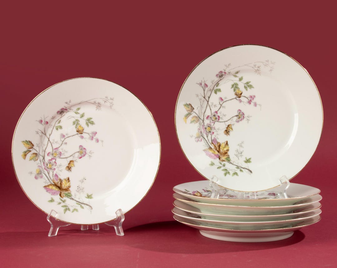 Set of 7 Antique Dinner Plates - Etsy