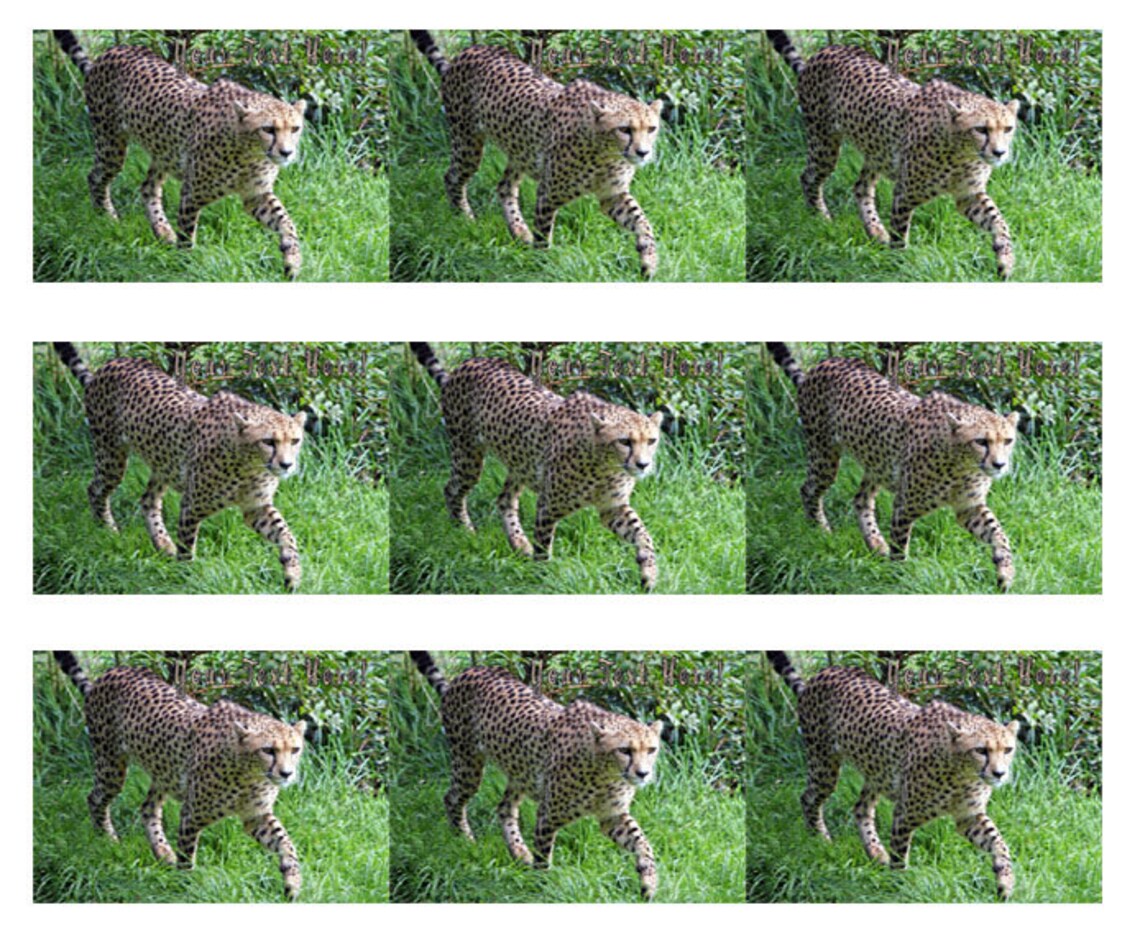 Awesome Cheetah Edible Cake or Cupcake Topper - Etsy