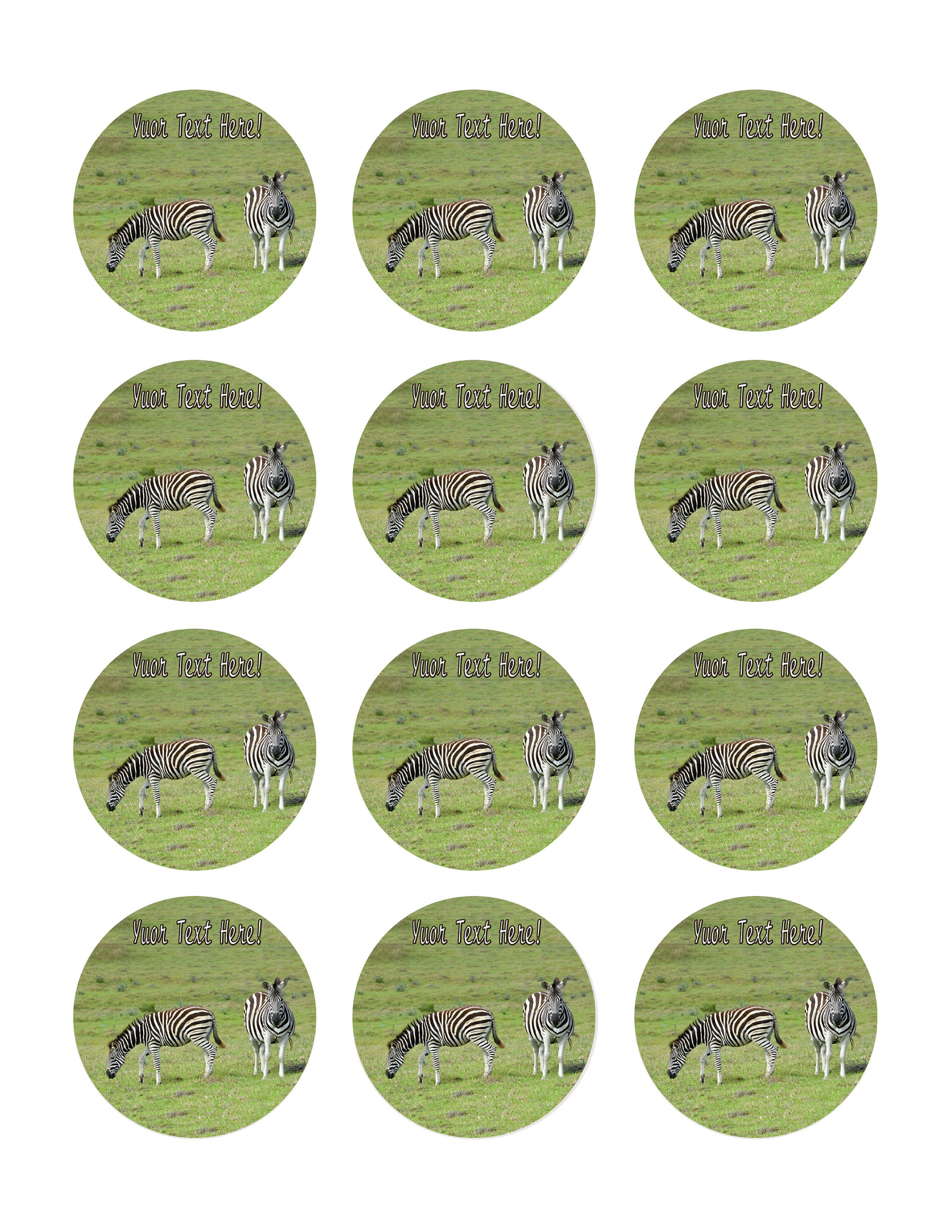 Zebra Edible Cake or Cupcake Topper | Etsy