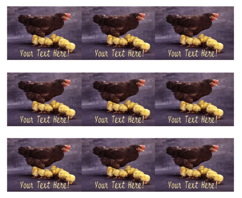 Hen and Small Chickens Edible Cake or Cupcake Topper - Etsy