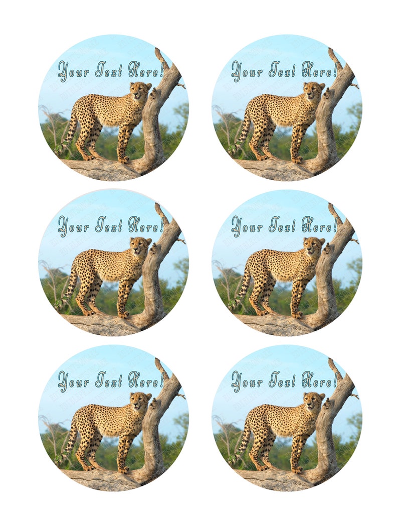 Roaming Cheetah Safari Wild Edible Cake or Cupcake Topper | Etsy