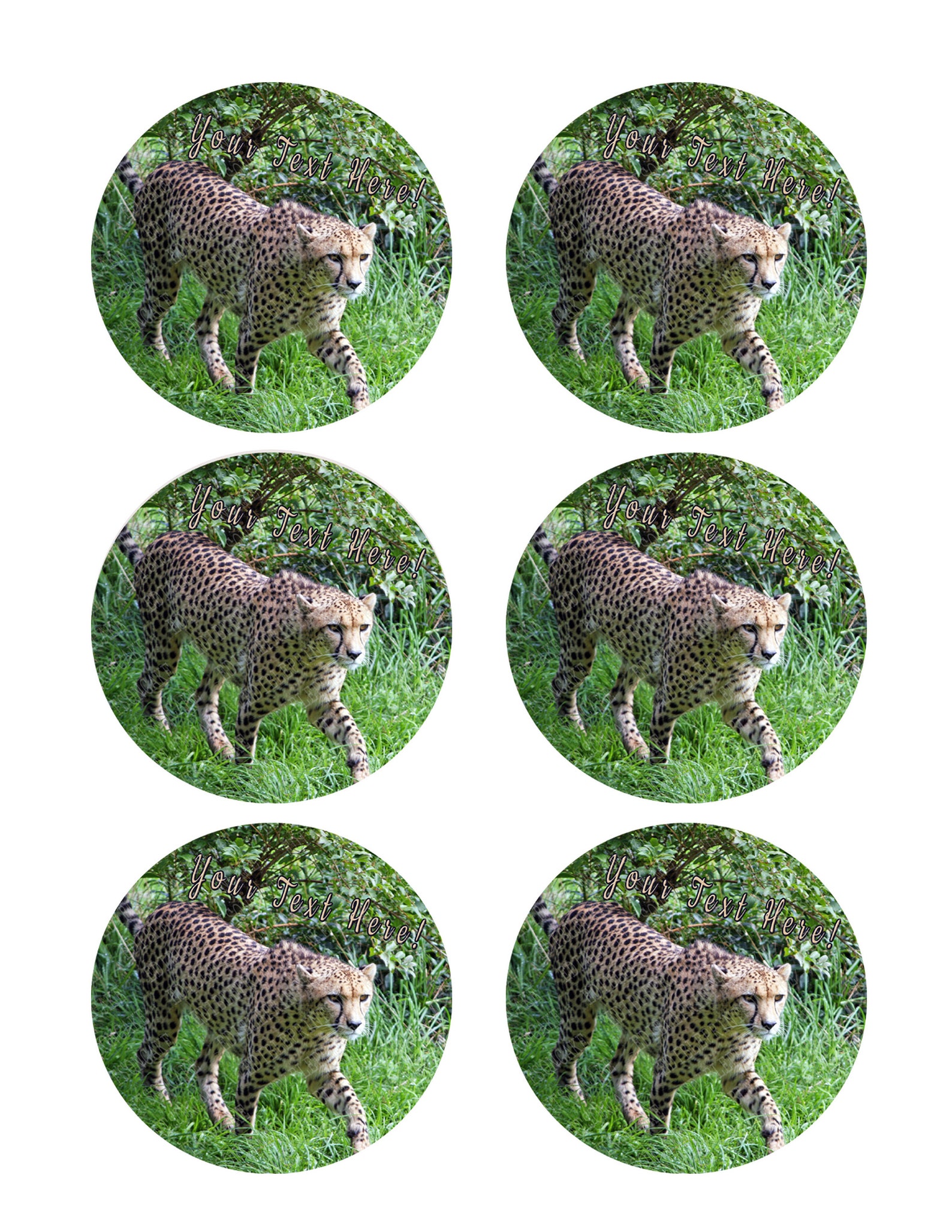 Awesome Cheetah Edible Cake or Cupcake Topper - Etsy