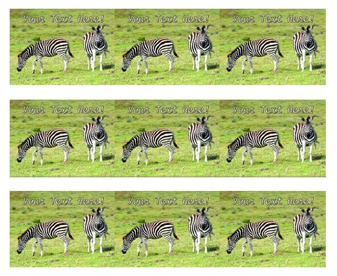 Zebra - Edible Cake or Cupcake Topper - Etsy